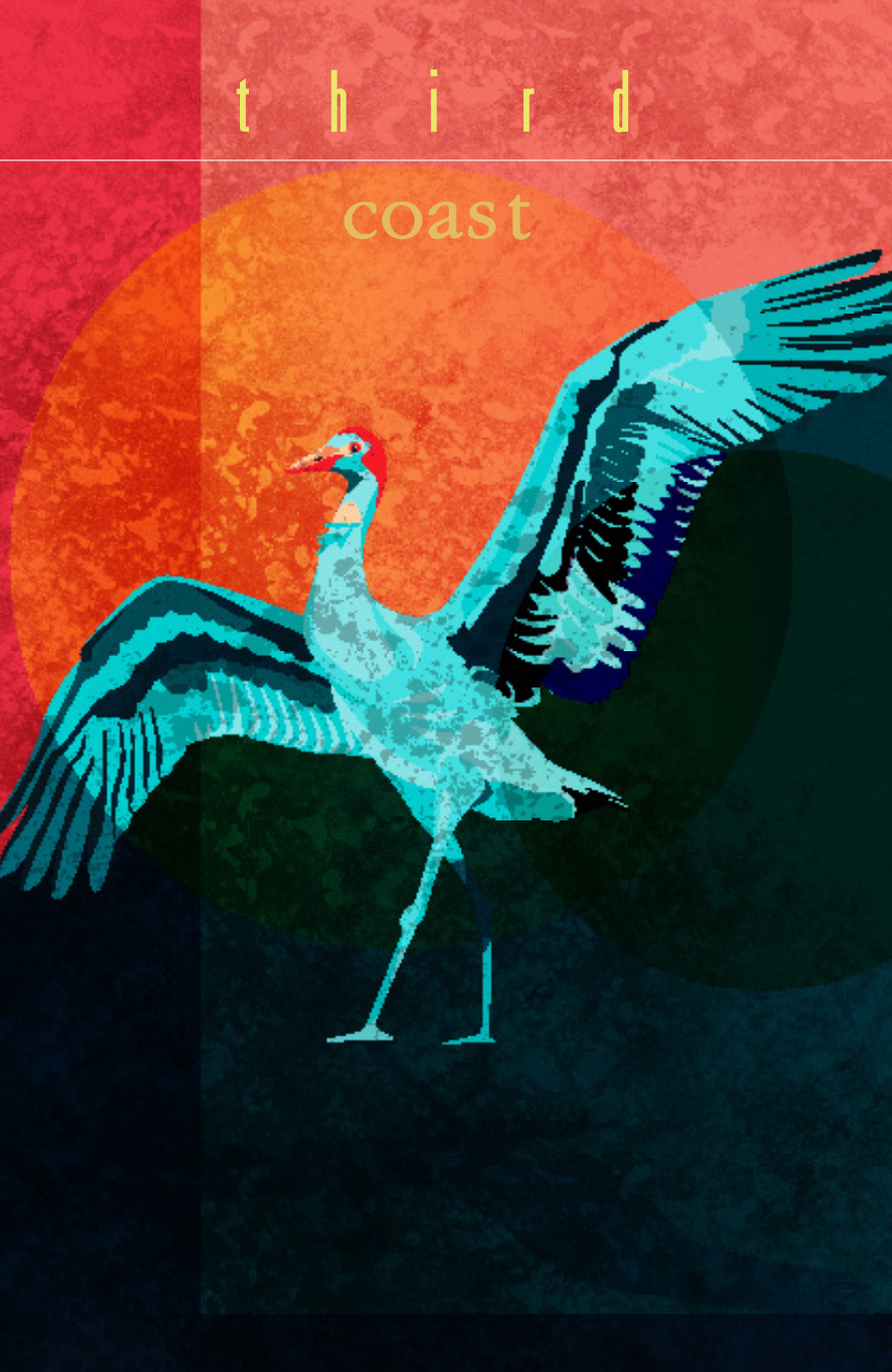 Issue 53 – Third Coast Magazine